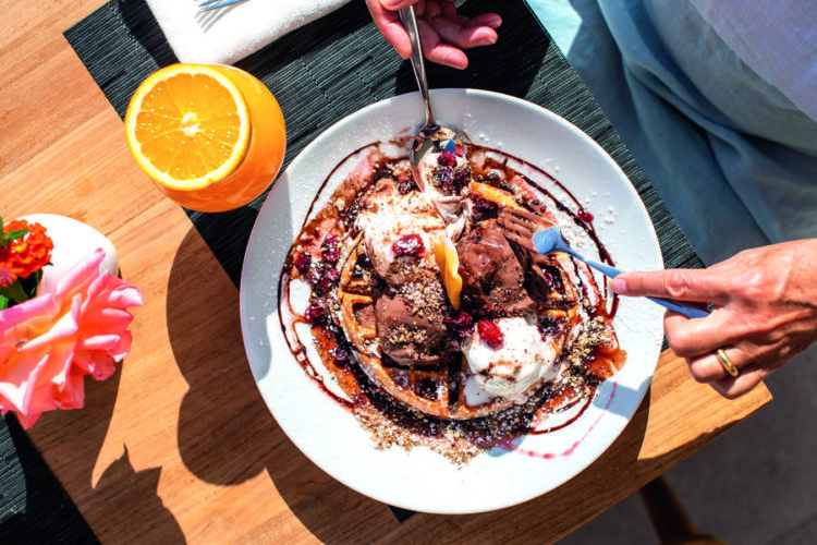 Which Board Basis is Best for you?