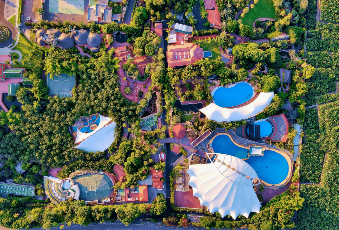 Everything You Need to Know About Loro Parque