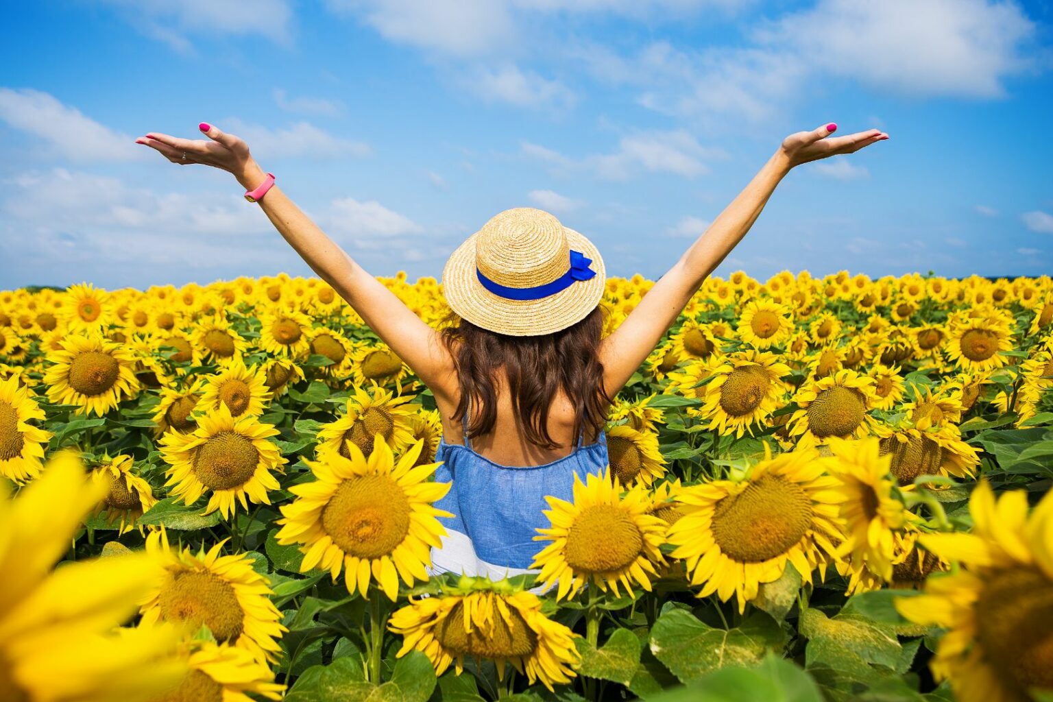 The Sunflower Lanyard Scheme for Hidden Disabilities