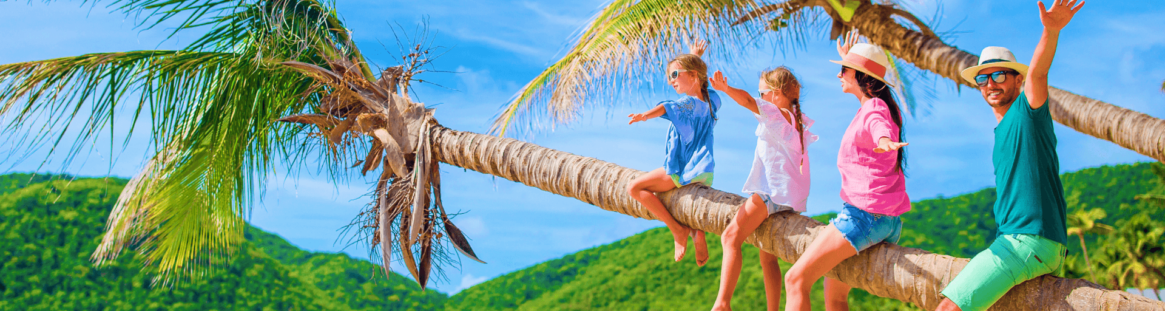 Everything You Need to Know About the Mexico Declaration of Goods Form ...