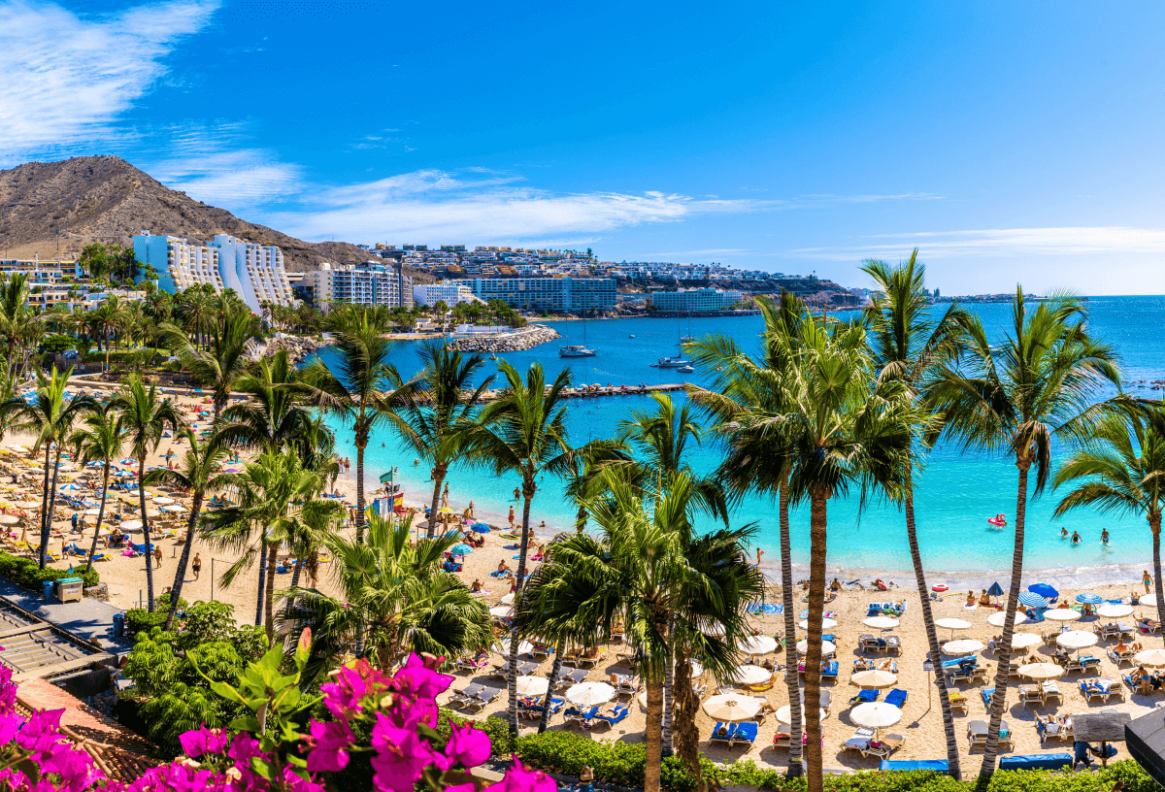 17287233851983914398allecool Canaries Canary Islands Holidays The Guardianhtml