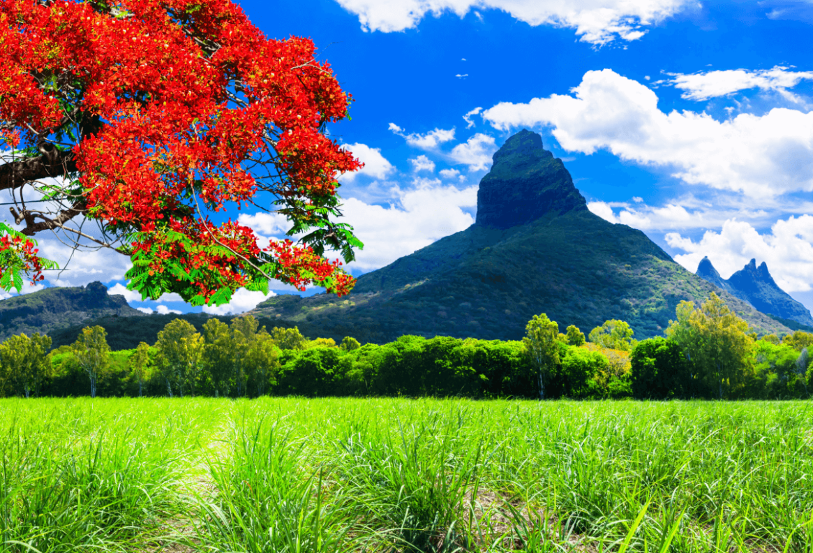 Dream Destinations Chosen By Team Holiday Hypermarket