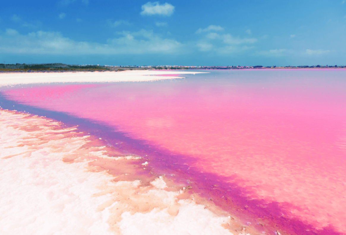 New York Through The Seasons | Holiday Hypermarket