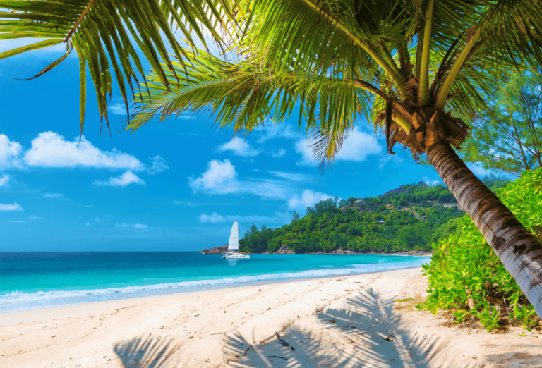 The Ultimate Guide to Flying with TUI - HYPE