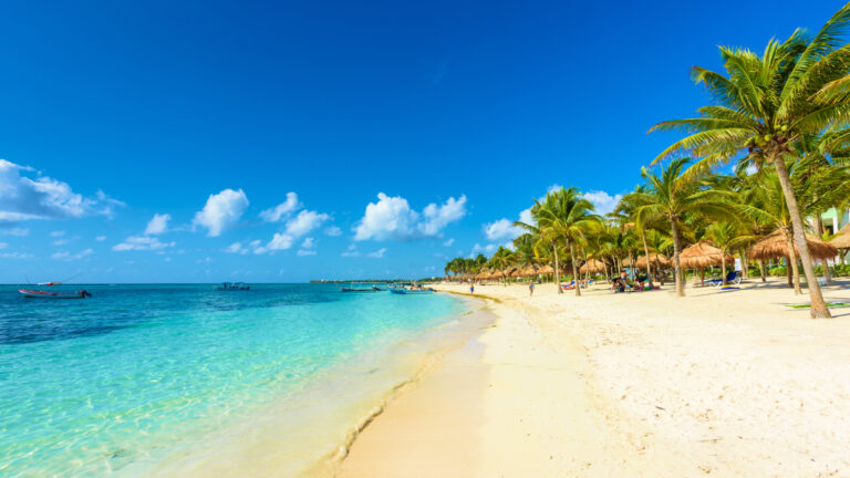 Mexico Declaration of Goods Form - Everything you need to know