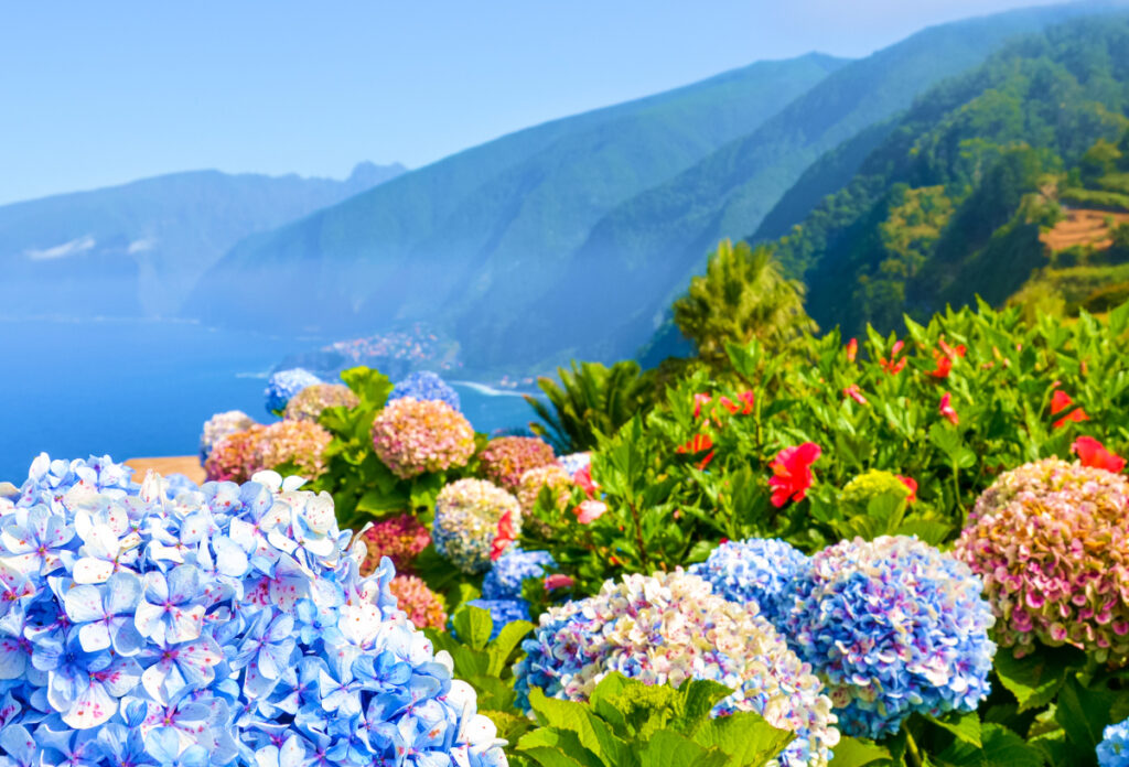6 Reasons Why We Love Madeira | Holiday Hypermarket