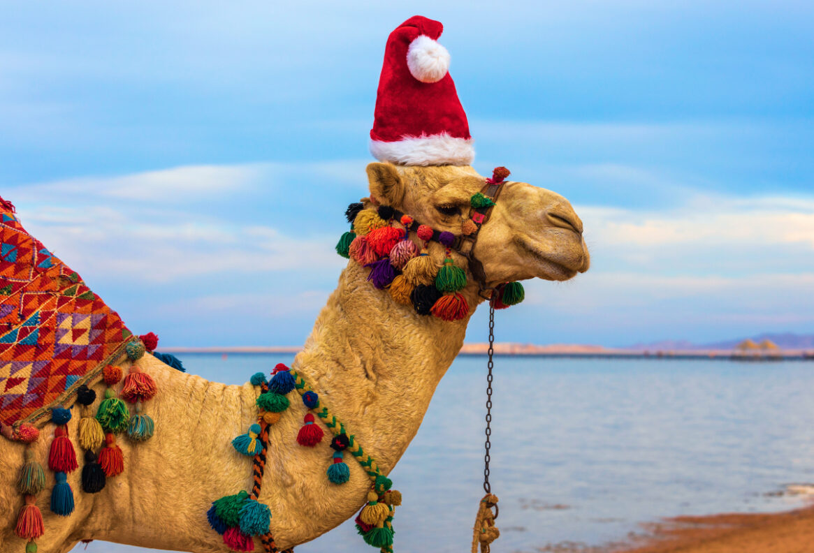 Holiday Hype | Holiday Hypermarket Blog